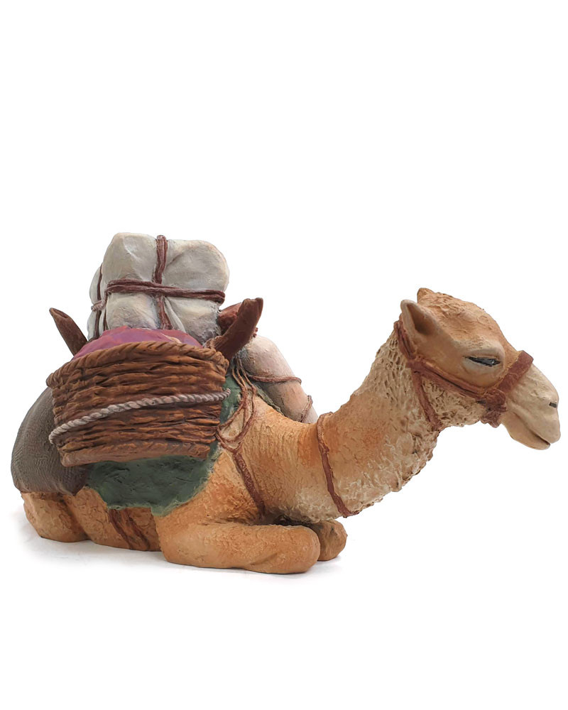 Camello de carga