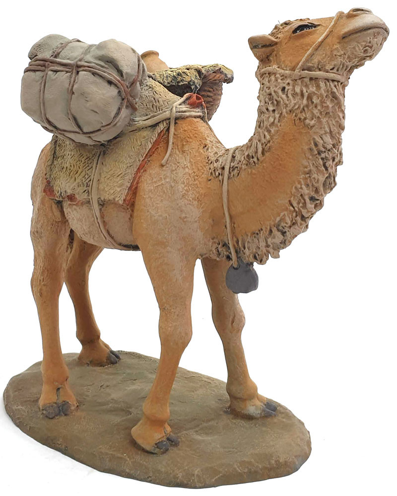 Camel with several baskets