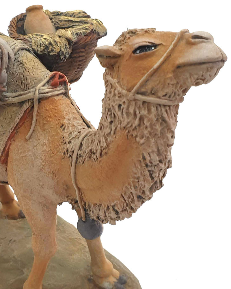 Camel with several baskets