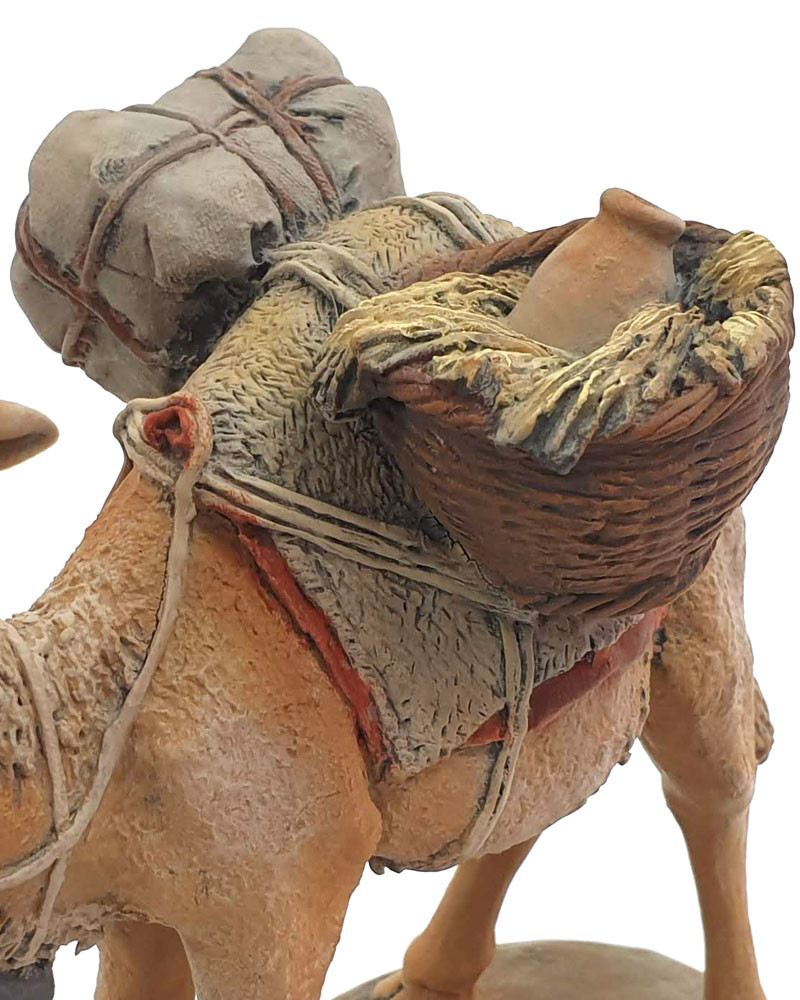 Camel with several baskets