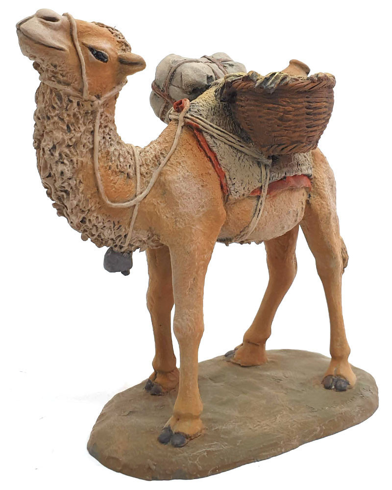 Camel with several baskets