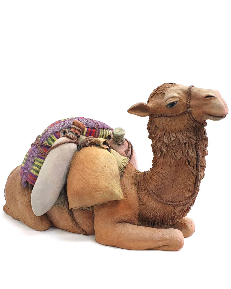 Camello de carga