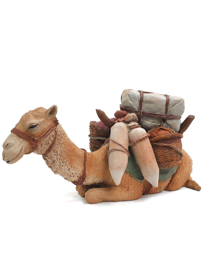 Camello de carga